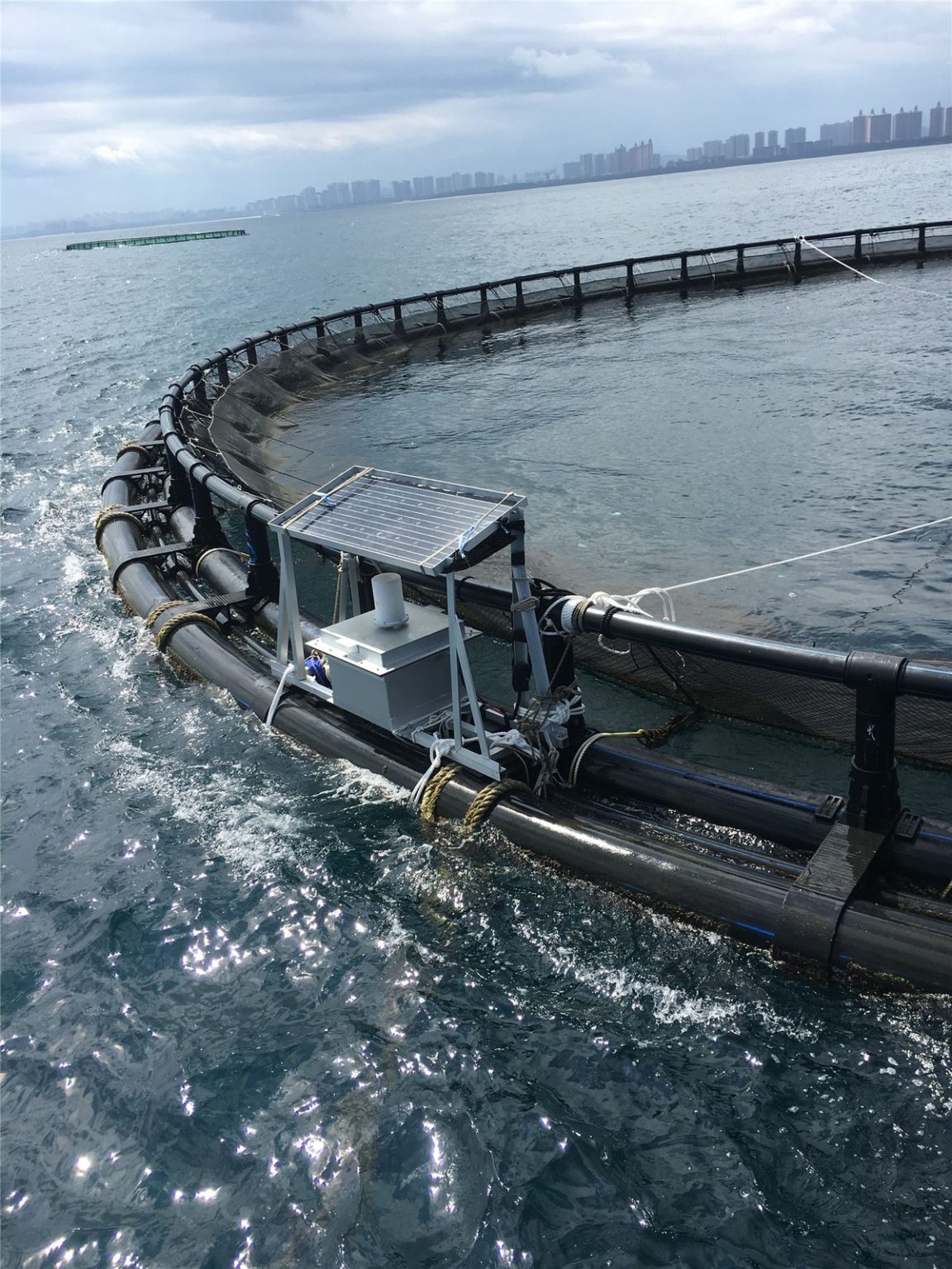 5G technology turbocharging deep sea cage aquaculture and adding ...